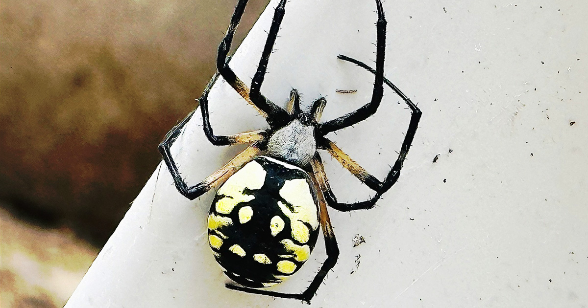 Daily prayer: God’s creation | Episcopal Diocese of Los Angeles