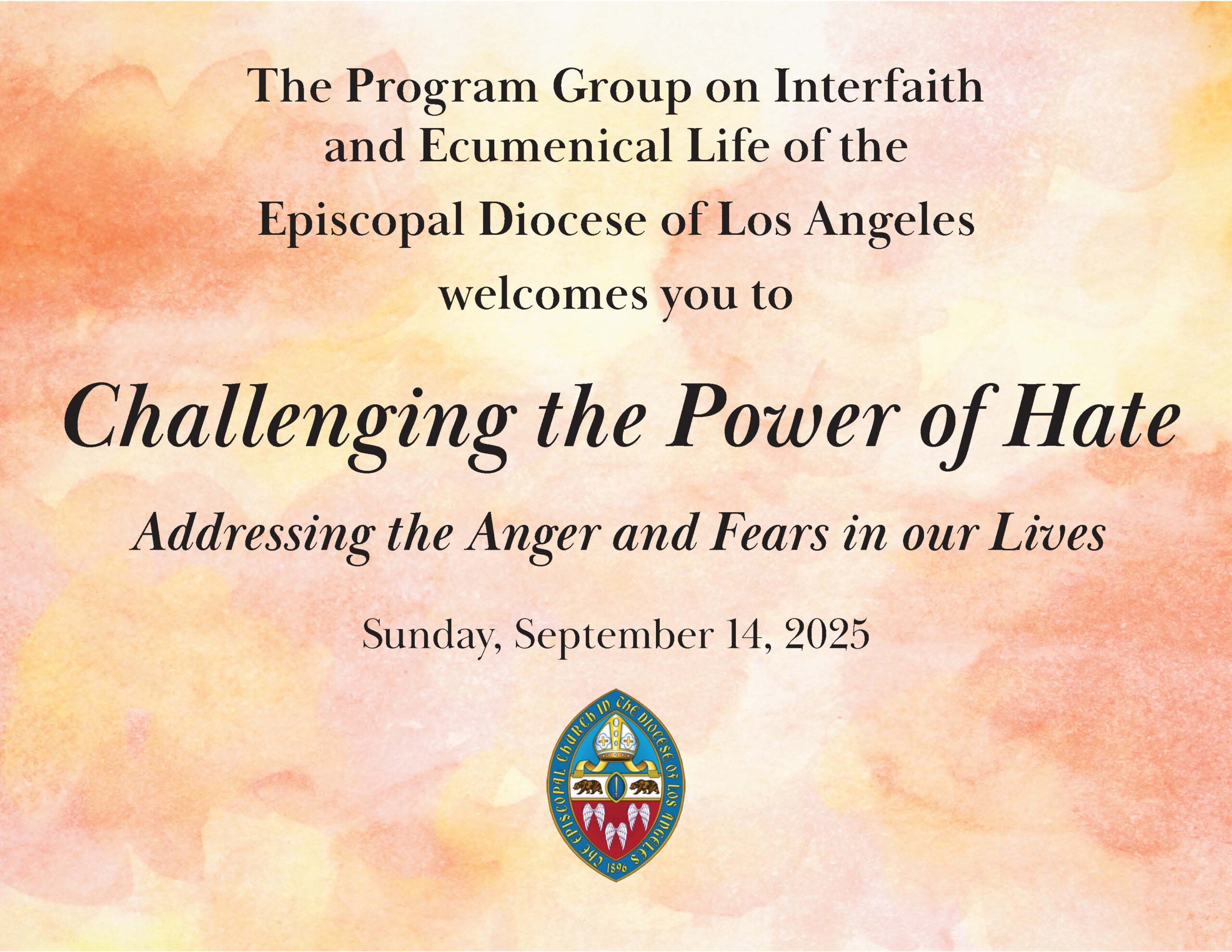 Reducing power of hatred begins with hearing truth, diocesan webinar ...